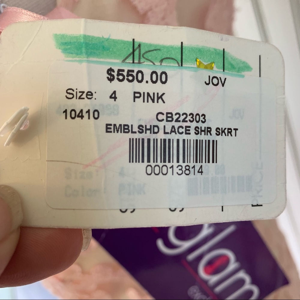 Glamorous Sheer Embellished Pink Floral Long Dress Go… - Gem